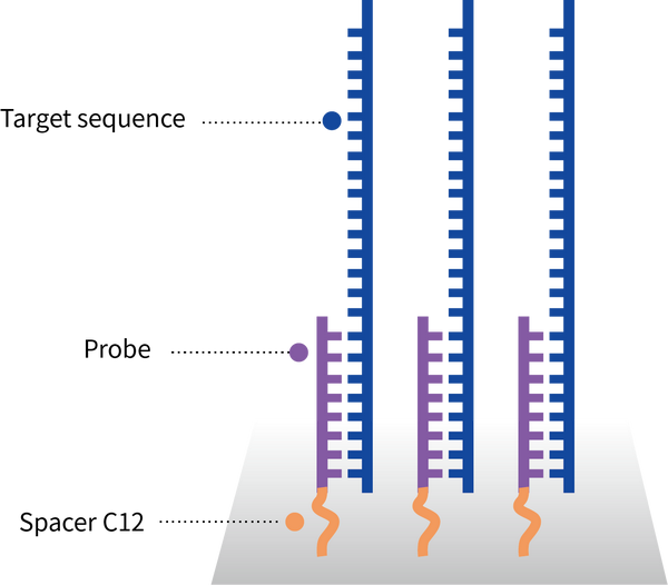 寞罕礁辨/妥斧升暮吹厉—郑恼捌齿 - 知乎