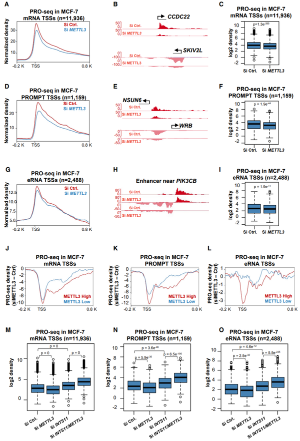 学术助力 | m6A甲基化的动态调控调节新生RNA合成 - 知乎