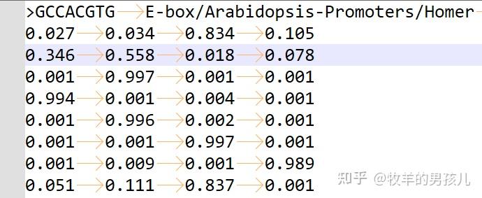 用HOMER里的scanMotifGenomeWide.pl脚本在全基因组范围找已知的motif - 知乎
