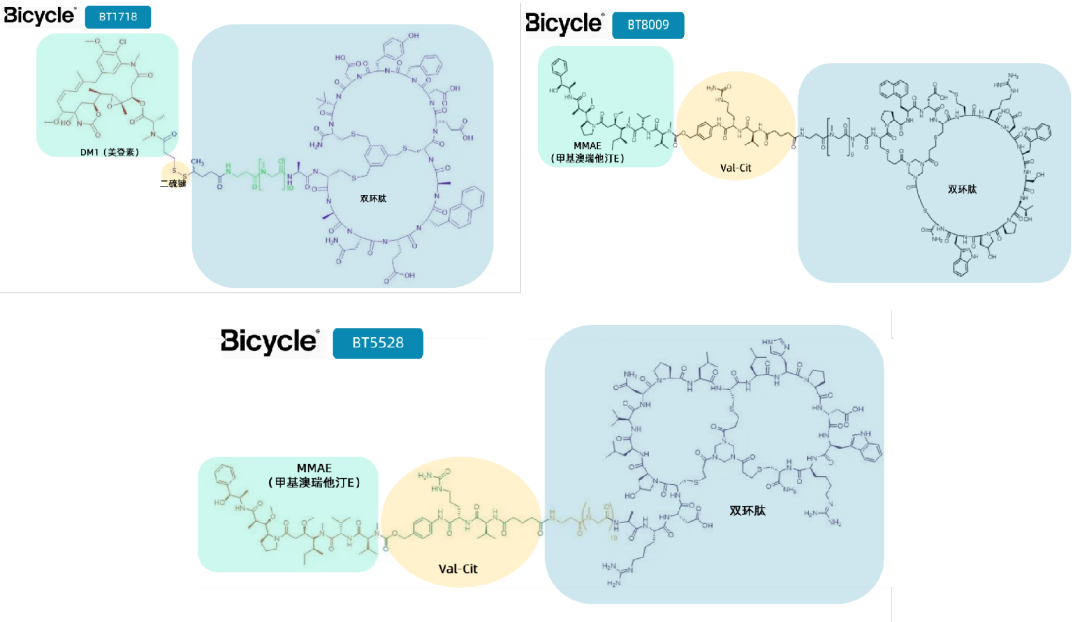 企业透视 | 环肽与核药演绎的优美华尔兹--Peptidream - 知乎