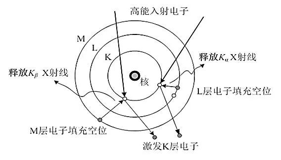 场发射扫描电子显微镜之能谱仪（EDS）简介及案例分享 - 知乎