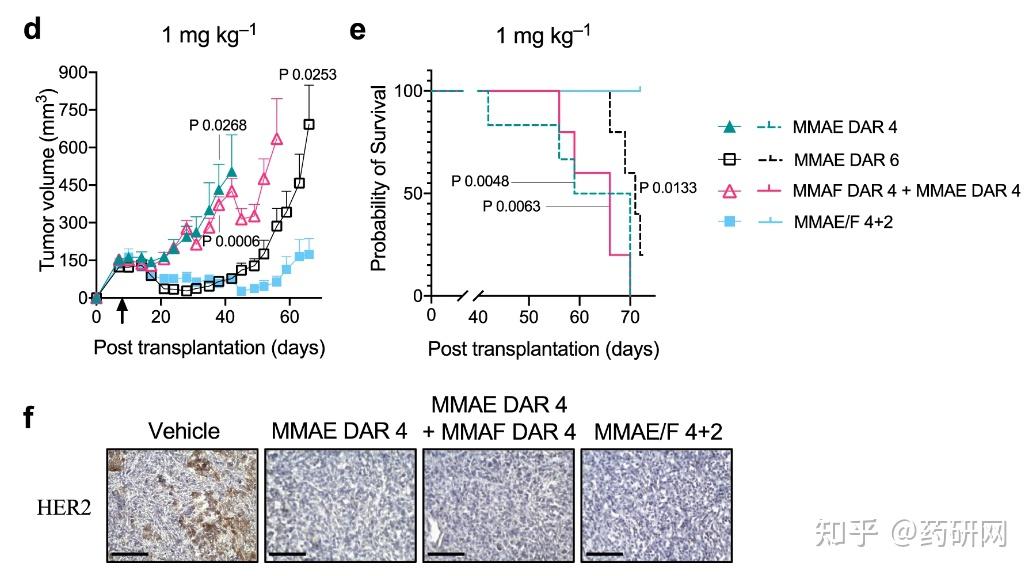 双载荷ADC的发展 - 知乎