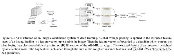 DTFD-MIL：组织病理学全玻片图像分类的双层特征提取多实例学习 - 知乎