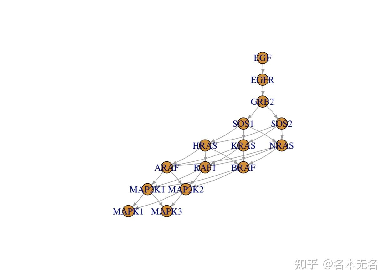 R 数据可视化 —— igraph 布局与绘图 - 知乎