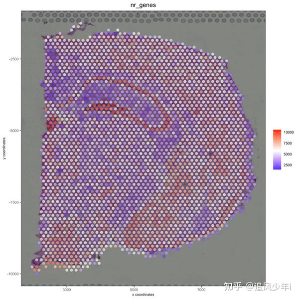 10X空间转录组分析回顾之Giotto - 知乎