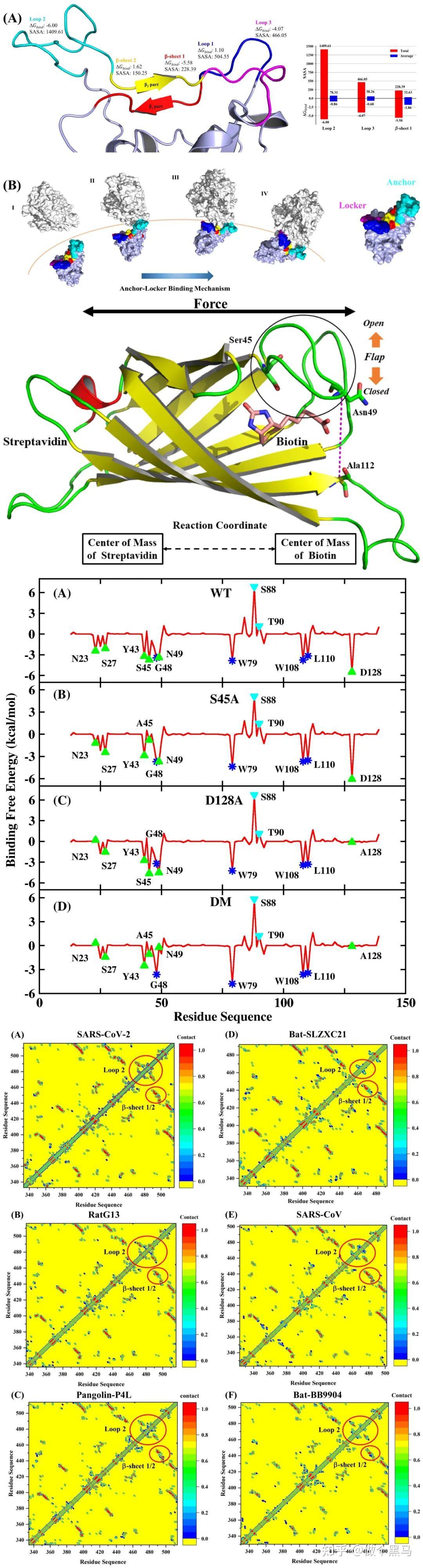 CADD 、AMBER分子动力学能量、AIDD人工智能药物发现 - 知乎