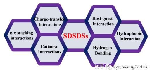 《AHM》综述：药物自给药系统--分子设计、构建策略及生物应用 - 知乎