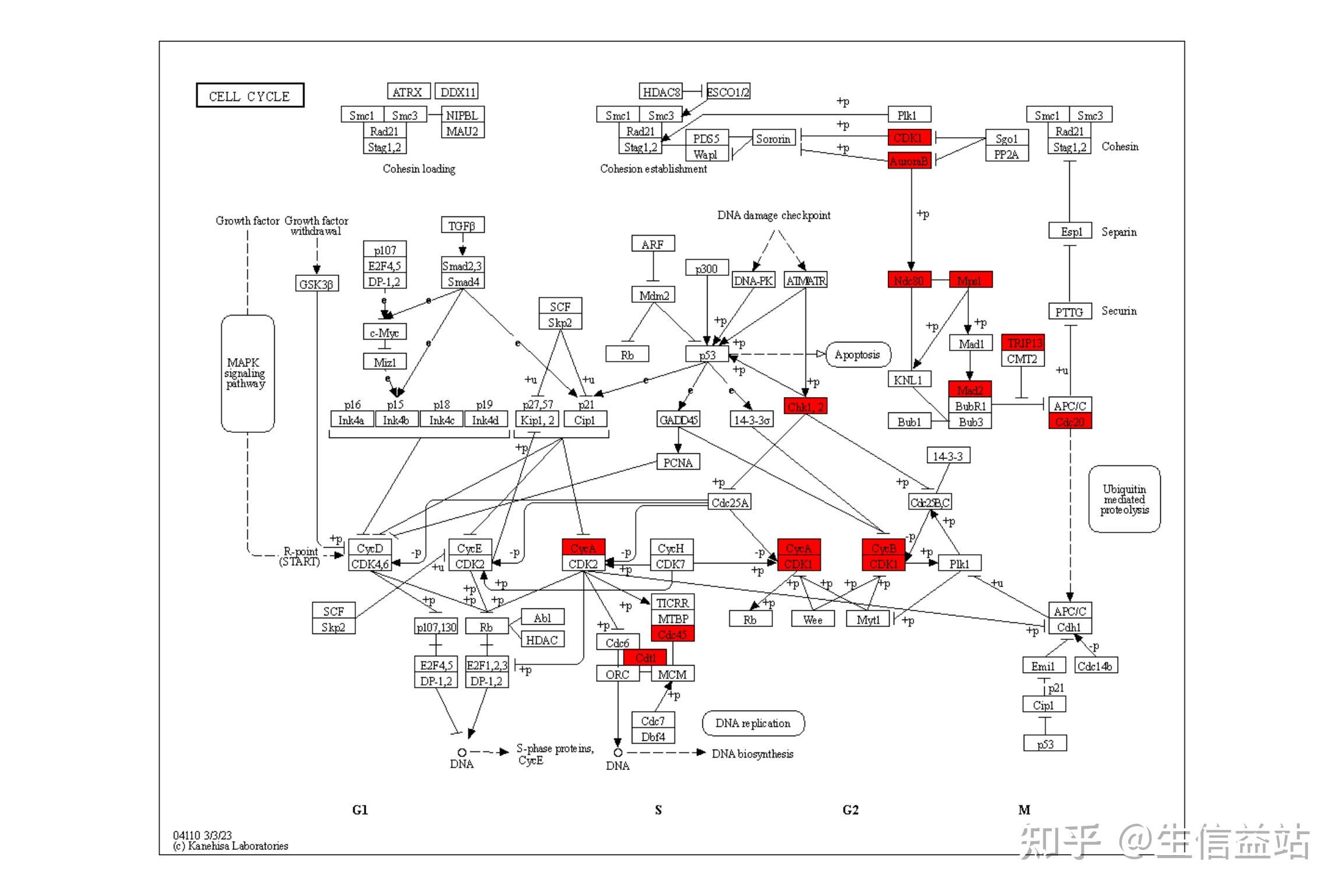 玩转KEGG (三)——遥遥领先pathview！ ggkegg可视化KEGG通路、模块与网络 - 知乎