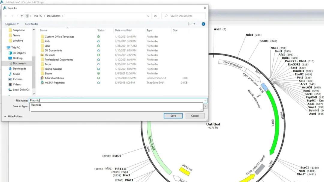 SnapGene 初学者指南 | 如何创建、打开、导入文件 - 知乎