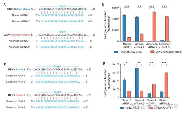 CRISPR-Dx技术mini-review - 知乎