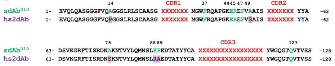 细胞内VHH - 知乎