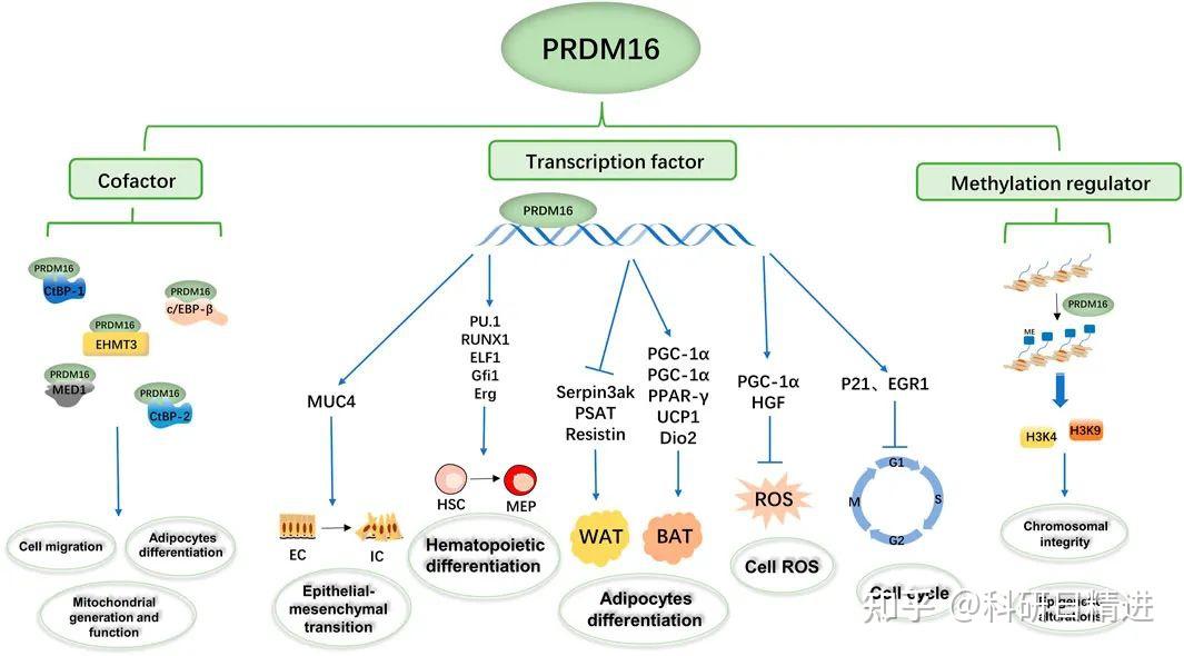 nature-cul2-appbp2