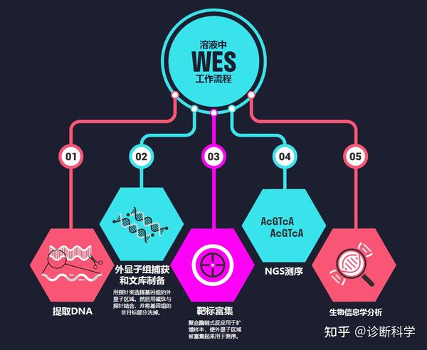 技术 | 全外显子组测序在医学上的应用 - 知乎