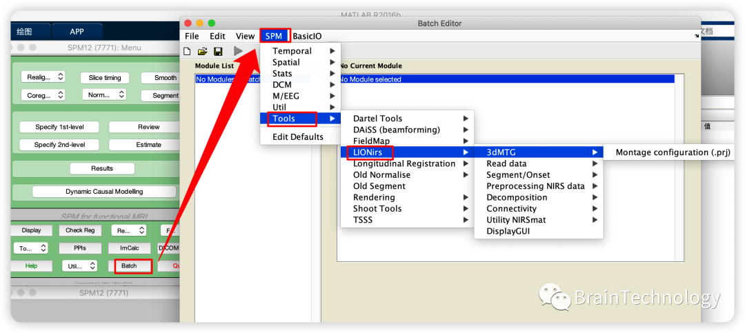 LIONirs：一款基于SPM灵活用于分析近红外数据的MATLAB工具箱 - 知乎