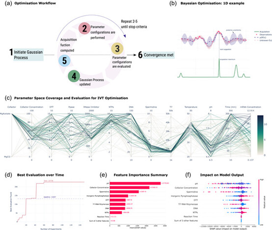 【耀文解读】mRNA IVT篇︱2022最新研究：Bayesian优化算法赋能mRNA疫苗产量倍增方法简析 - 知乎