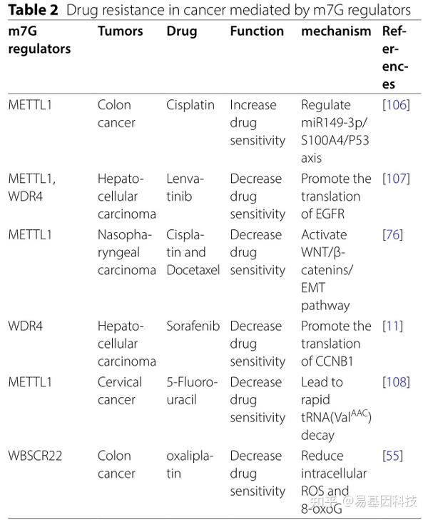 易基因： RNA m7G甲基化修饰的生物学功能及其在癌症中的作用｜综述 - 知乎