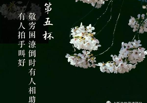我敬往事七杯酒!从前不回头,往后不将就! 知乎