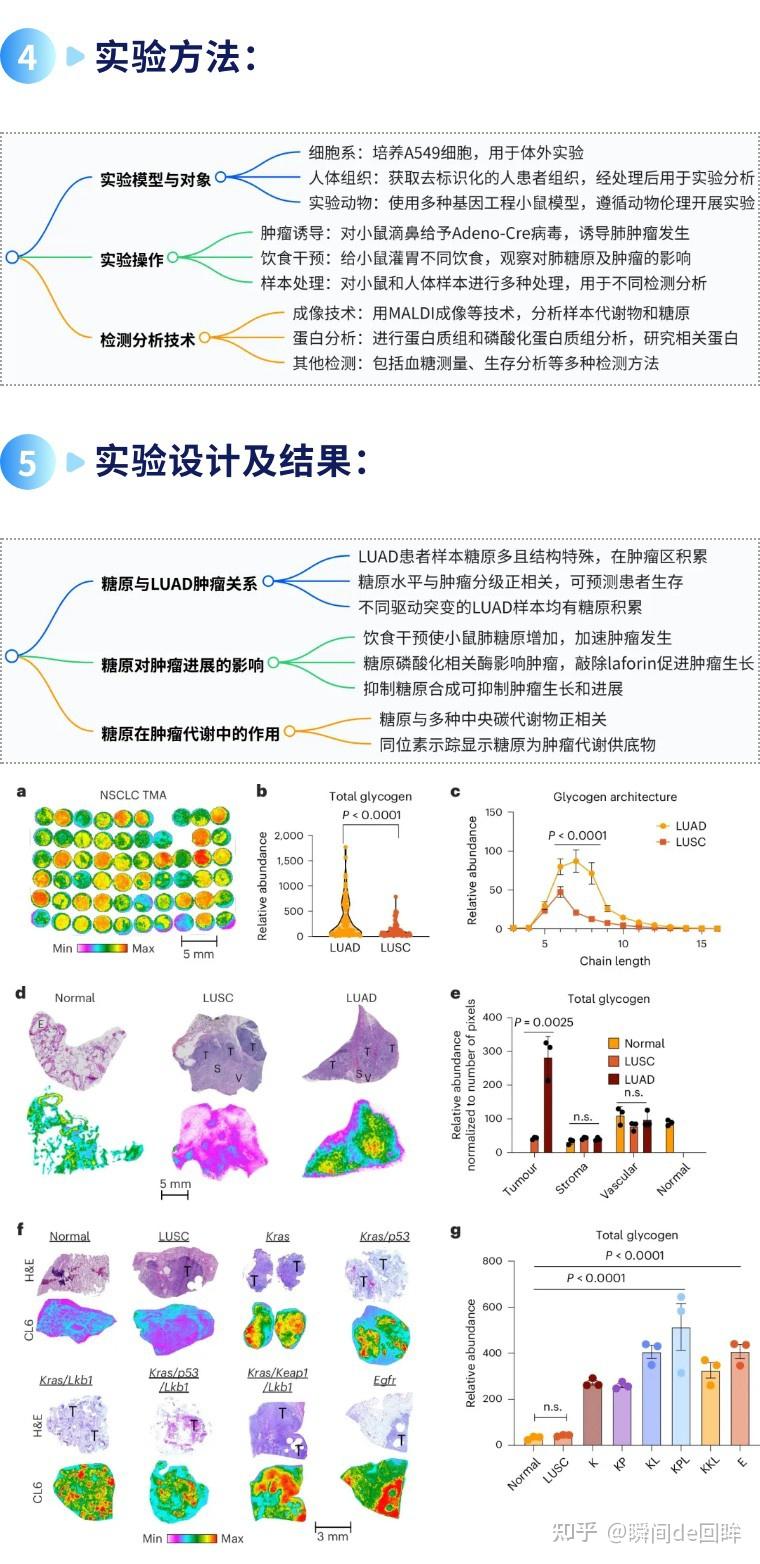 【Nat Metab】空间代谢组｜佛罗里达科研团队发现：糖原驱动肺腺癌肿瘤的发展，且可作为预后标志物 - 知乎
