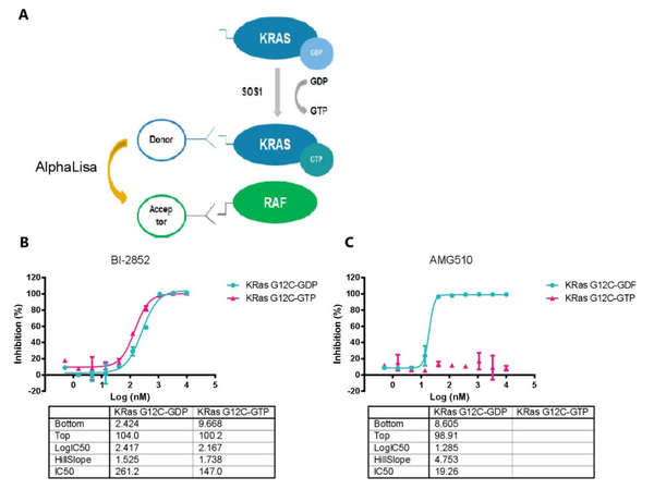 KRAS新药研发和检测平台 - 知乎