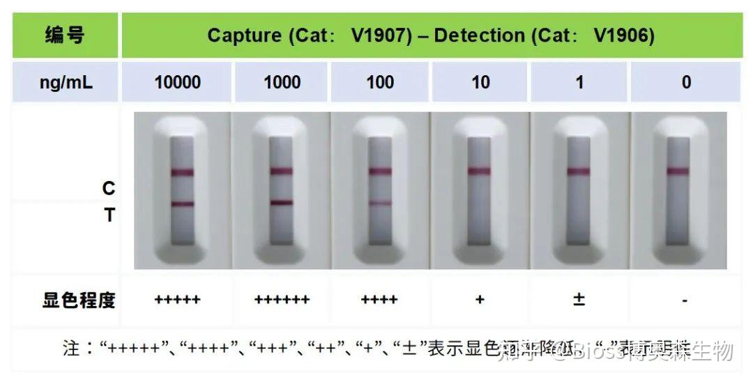 重点推荐丨高灵敏度肿瘤标志物CEA配对抗体！ - 知乎