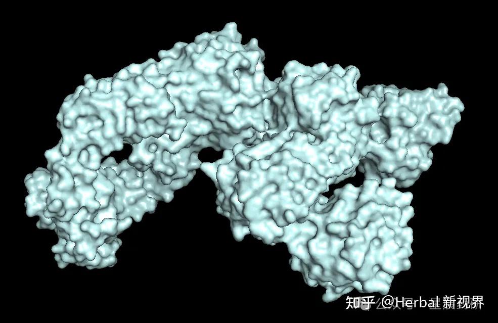 教程|蛋白-蛋白对接工具ZDOCK的使用与离线版安装 - 知乎
