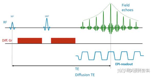 DWI-TSE无形变扩散成像 - 知乎