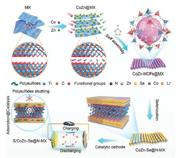 AEM：MOF/MXene自组装异质结，促进多硫化锂转化反应 - 知乎
