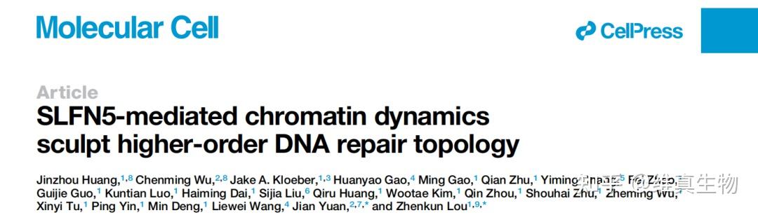 Molecular Cell（IF 19.328）| 同济大学医学院袁健团队合作研究揭示高阶DNA修复拓扑结构的调控机制 - 知乎