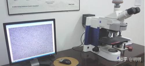 金相显微镜原理及使用 - 知乎