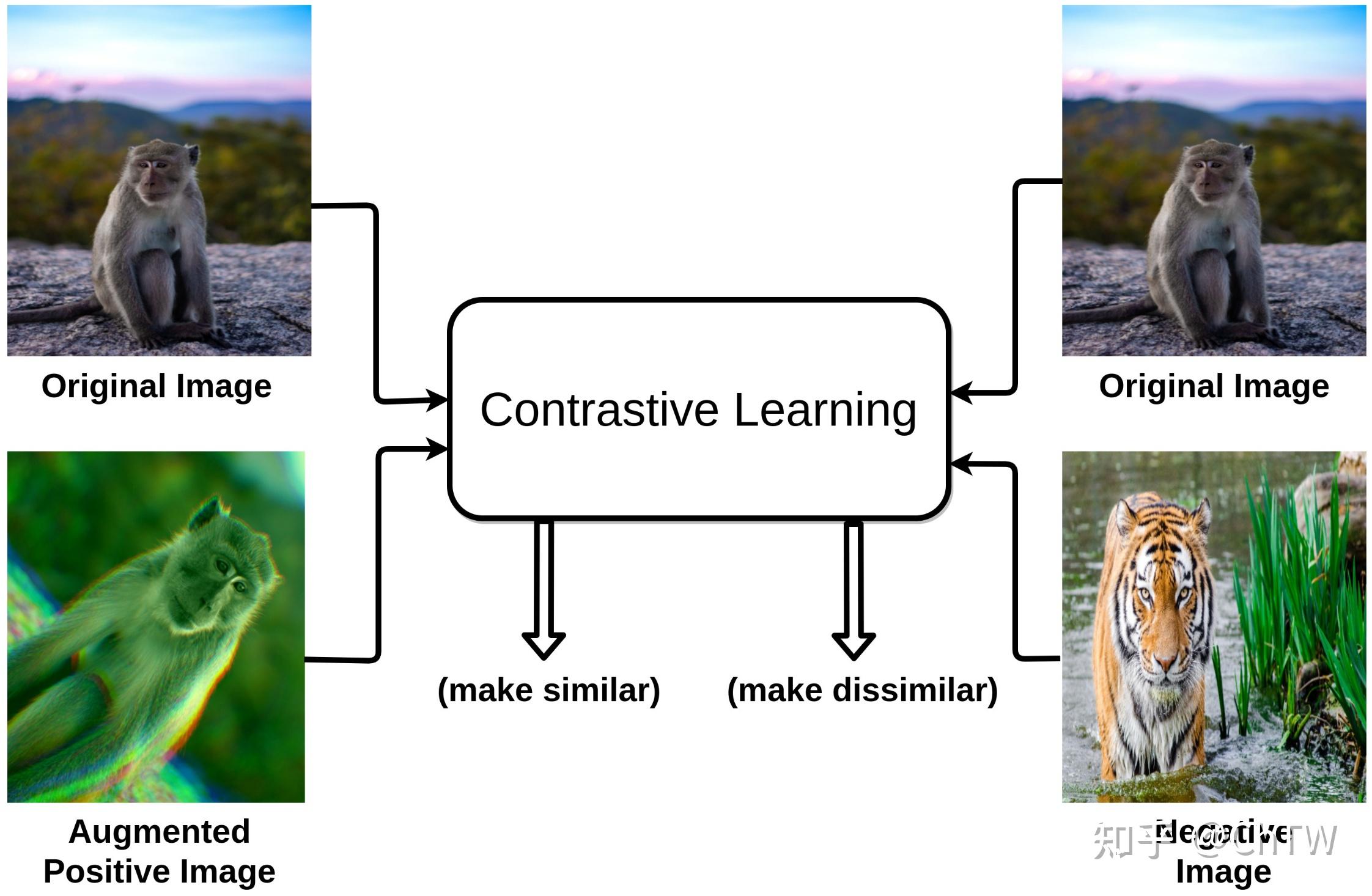 对比学习（Contrastive Learning）概述 - 知乎