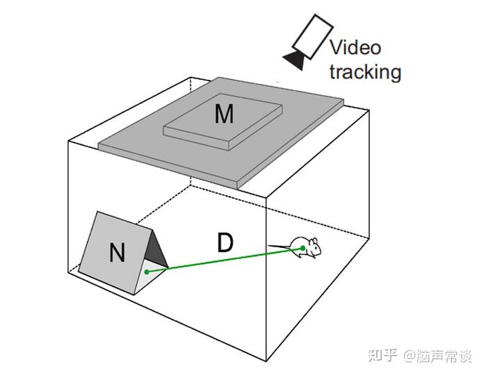 动物行为实验指南：视觉诱发的小鼠本能防御性行为（looming模型）实验方法总结 - 知乎
