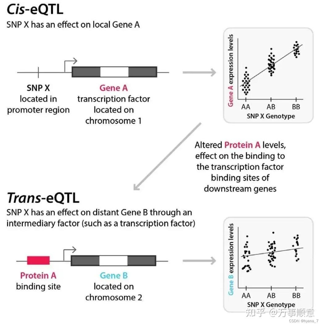 eQTL及其分析——自学笔记 - 知乎