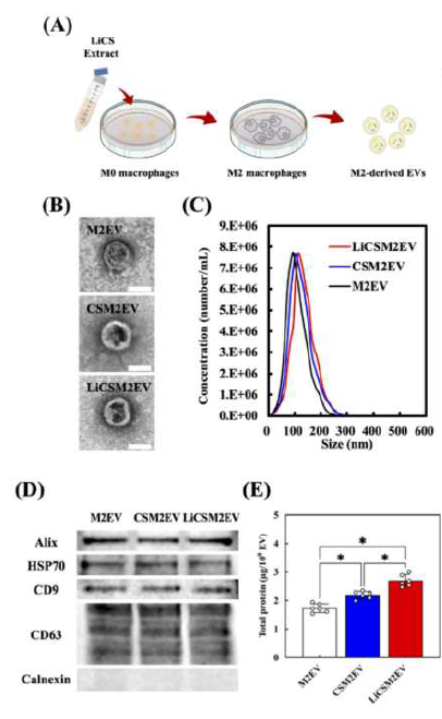 前沿解读 | CytoFLEX nano纳米流式助力揭秘“骨免疫”新机制 - 知乎