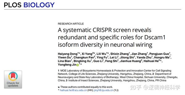 PLOS Biol︱浙江大学金勇丰团队合作揭示复杂Dscam可变剪接体多样性的功能框架图 - 知乎