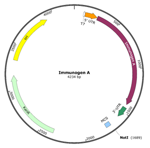 【耀文解读】一文全知道｜GMP标准下mRNA生产平台需求及早期临床样品生产流程 - 知乎