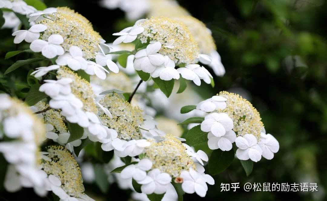 生，容易；活，容易；生活，真的很不容易；把心放宽，一切随缘 知乎