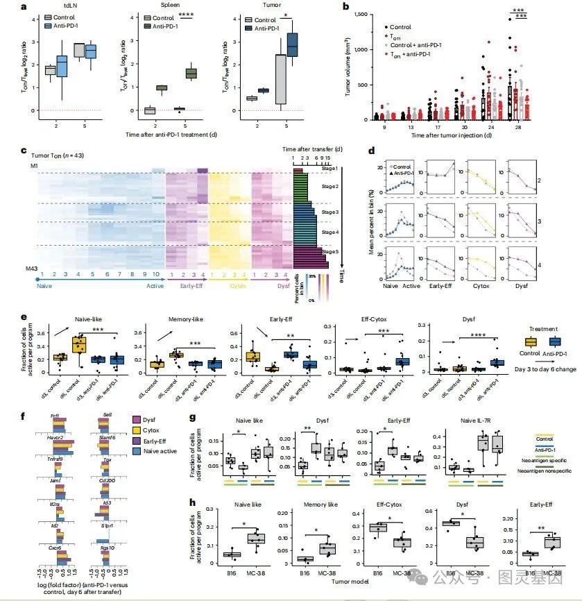 Nat Cancer | 体内跟踪T细胞，发现肿瘤免疫的时间特征 - 知乎