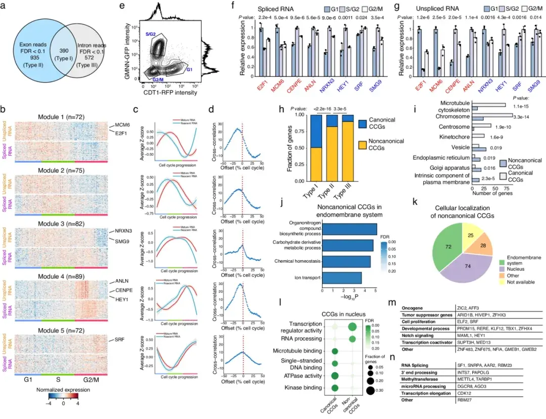 snapTotal-seq：单细胞Total RNA-seq分析揭示转录调控中心 - 知乎