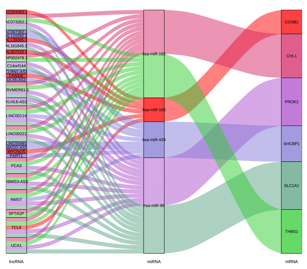如何用ggalluvial绘制ceRNA网络图？ - 知乎