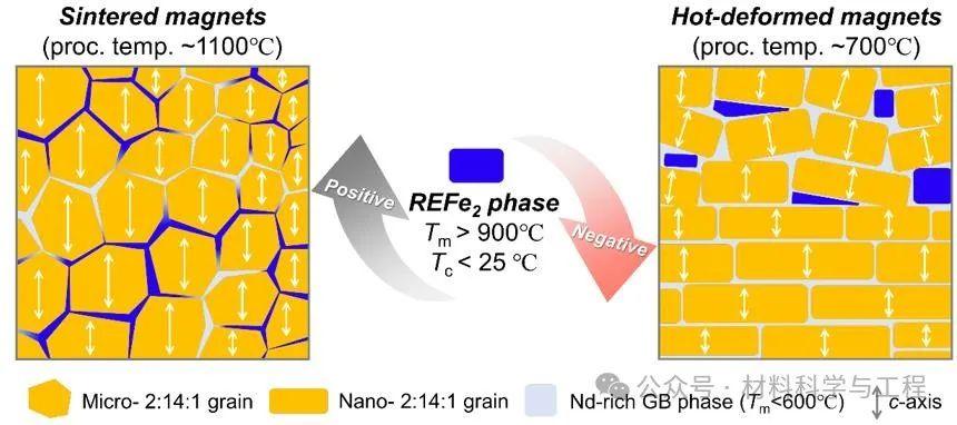《Scripta Mater》：REFe2相在烧结和热变形Ce磁体的作用机制！ - 知乎