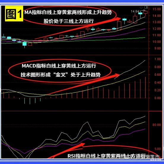 MACD+RSI+MA回测居然88%，一个高胜率靠谱选谷策略 - 知乎