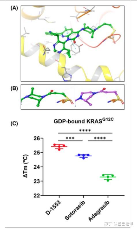 D-1553:一种新型KRASG12C抑制剂，具有有效和选择性的细胞和体内抗肿瘤活性 - 知乎