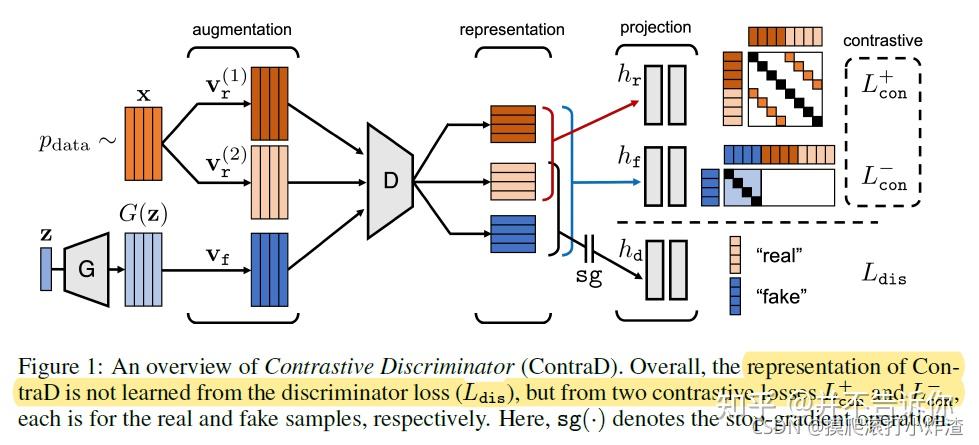 ContraD论文部分翻译与解读（Training GANs with Stronger Augmentations via ...