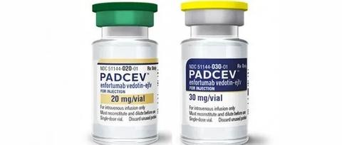 Padcev更进一步：肌肉浸润性膀胱癌 - 知乎