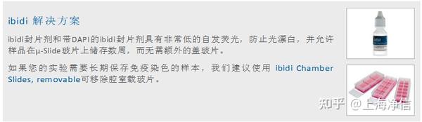 ibidi应用指南|免疫荧光实验 - 知乎