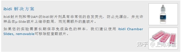 ibidi应用指南|免疫荧光实验 - 知乎