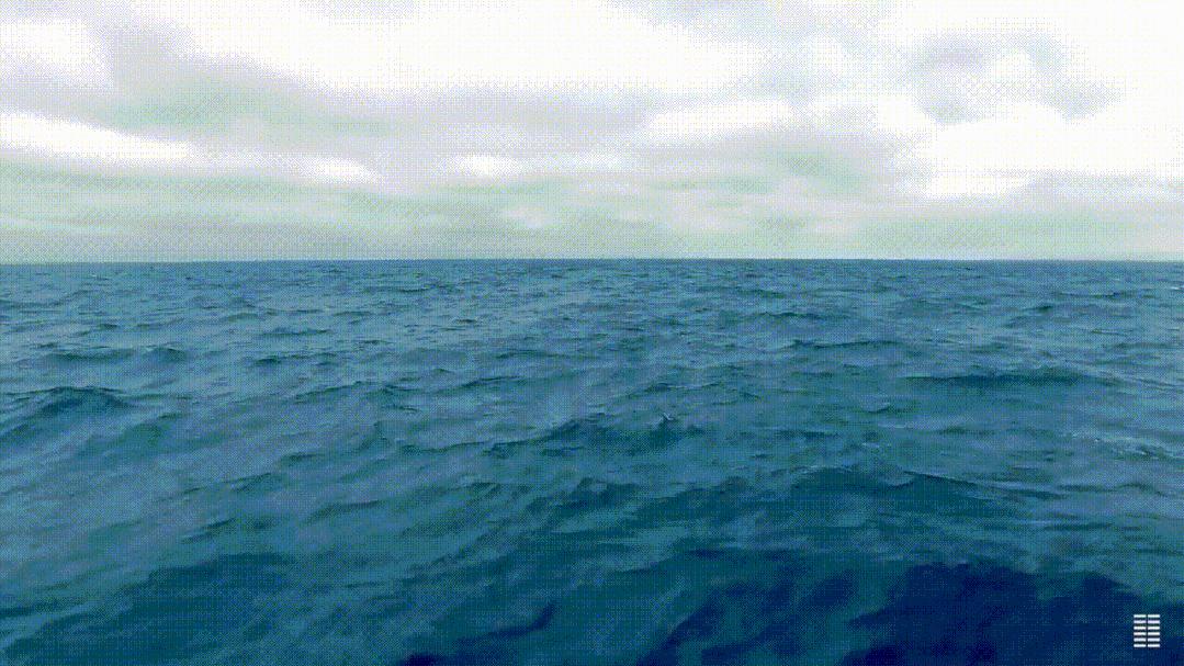 52 Hertz Whale | 世界上最深的孤独 - 知乎