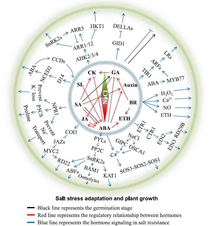 一探究竟 | Trends Plant Sci植物激素代谢组学介导盐胁迫综述 - 知乎