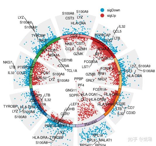 如何对单细胞常规功能（GO|KEGG|GEVA|差异基因|可视化）进行分析？ - 知乎